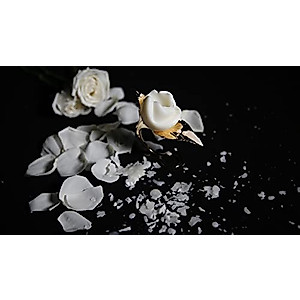 Zestler Bundle Stainless Steel Wax Removal Blade + 6 White Low Temperature Body Safe Rose Candle Refills