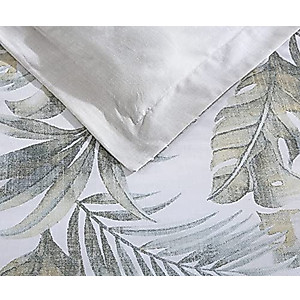 Tommy Bahama - Queen Comforter Set, Reversible Cotton Bedding with Matching Shams, Medium Weight Home Decor for All Seasons (Waimea Bay Green, Queen)