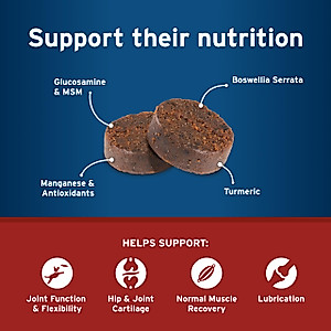 Pet Protect from The Makers of Advantage Vet-Formulated Hip & Joint+ Supplement for Dogs | 60 Chews