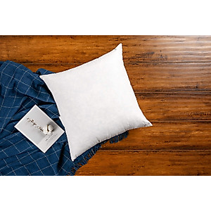 JA COMFORTS 28×28 Premium Goose Down Feather Throw Pillow Inserts(Set of 1)-5% Down Filling,High Filling Weight,250 TC Cotton Cover, Square, White