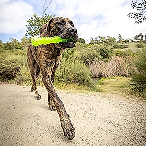 Hyper Pet Dura-Squeaks Stick Dog Toy, Large