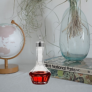 VOSAREA Glass Bitters Bottles Glass Cocktail Syrups Dropper Bottle Oil Dispenser Sprayer for Cocktail Bar Professional Bar Tool Bartende 50ml Silver Japanese Bitters Bottle