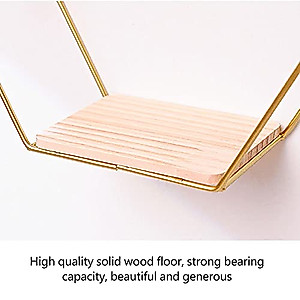 FQQWEE Hexagonal Floating Shelves Wall Decor Set of 3 Metal Wire Wall Mounted Honey Comb Shelves Decorative Geometric Floating Wall Storage Shelves for Bedroom Living Room Home Office