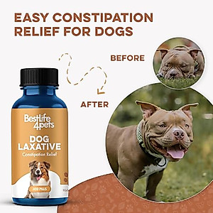 Dog Laxative Constipation Relief - Dog Stool Softener Remedy Eases Irregular Bowel Movements, Scooting & Rectal Itching; Supports Canine Digestion & Dog Gas Relief - 400 Odorless, Tasteless Pills
