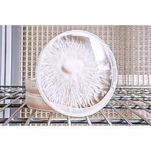 Heat-N-Pour Nutrient Agar | Cleans Spore Syringes | Sterilized and Ready to Use | Just Heat And Pour | For Petri Dishes and Cloning Mushrooms (125ml Bottle)