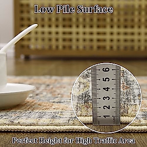 Zacoo Boho Area Rug 5x7 Washable Rug Vintage Soft Distressed Print Carpet Oriental Non-Slip Stain Resistant Low-Pile Throw Thin Bedroom Rugs for Living Room Dining Room Brown/Grey