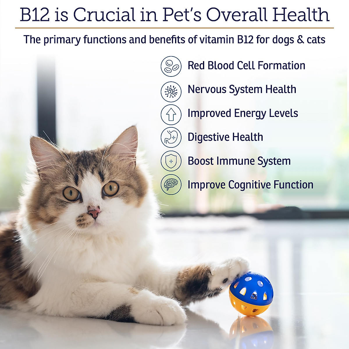 RX Vitamins B12 for Dogs and Cats - Dog Digestive Support for Improved Metabolic Process - Pure B12 for Cats to Support Nervous System - Ideal for Your Dog Vitamins and Cat Supplies - 4oz