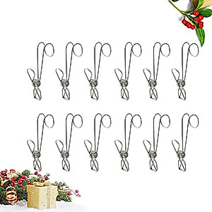 DOITOOL Clothespins, 12PCS Stainless Steel Clothes Drying Hanger Clips Multi- Purpose Windproof Clothespin Wire Clips for Clothesline Utility