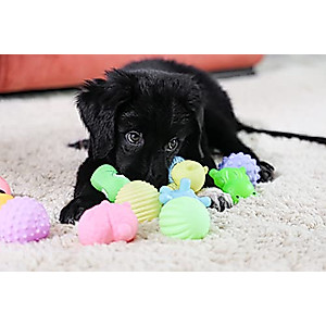 Tamu style Puppy Chew Toys for Teething, 6 Pack, Soft Colorful Vinyl, Fun Ball Shapes, Mentally Stimulating Shapes and Audible Squeaker, Promotes Active, Healthy Play and Even Float in Water