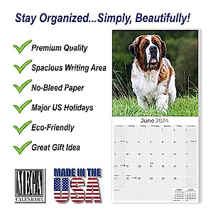 2023 2024 St Bernard Calendar - Saint Bernard Dog Breed Monthly Wall Calendar - 12 x 24 Open - Thick No-Bleed Paper - Giftable - Academic Teacher's Planner Calendar Organizing & Planning - Made in USA