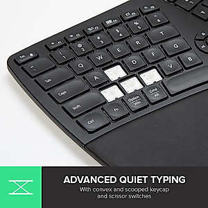 DeLUX Ergonomic Keyboard, Wireless Ergo Split Keyboard with Backlit for Natural Typing and Reduce Hands Pain, USB Receiver, BT5.0, Scissor Switch and Palm Rest for Windows and Mac(GM902A-Black)
