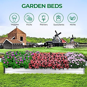 iPower Galvanized Raised Garden Bed Kit Adjustable Size Thickened Metal Planter Box Outdoor for Flowers Vegetables and Herb, 8x4x1ft, 8 x 4ft, Silver