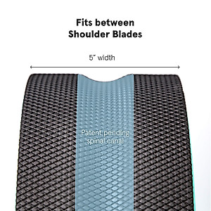 Chirp Wheel Foam Roller, Medium Body Roller, Sweat-Resistant Foam Padding, Back Stretcher, Targeted Muscle Yoga Wheel, Supports Back Pain Relief, PVC-Free, Deep Massage, Holds Up to 500 lbs - 10"