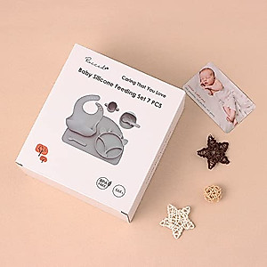 ROCCED Silicone Baby Feeding Set Baby Led Weaning Supplies Toddler Dish Set First Stage Solid Food Eating Utensil, Suction Plates with Spoons Baby Suction Bowls Bibs Cups Placemat- 6M+ Sage