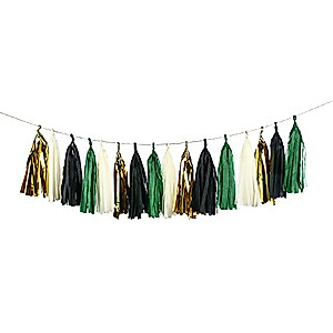 Mefuny Bining Tissue Paper Tassel DIY Hanging Paper Decorations Party Garland Decor for Party Decorations Wedding,Festival,Baby Shower Decoration 20PCS