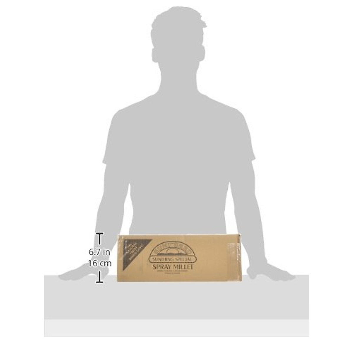 Sun Seed Company Bss10911 Small Bird Millet Spray Treats, 5-Pound