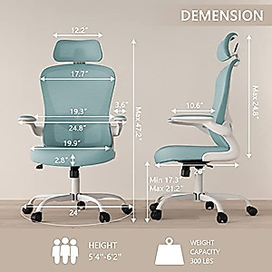 Office Chair, High Back Ergonomic Desk Chair, Breathable Mesh Desk Chair with Adjustable Lumbar Support and Headrest, Swivel Task Chair with flip-up Armrests, Executive Chair for Home Office