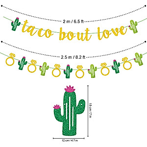 Final Fiesta Bachelorette Party Decorations Taco Bout Love Decorations Taco Bout Love Banner Fiesta Bridal Shower Mexican Fiesta Taco Bout Love Decorations