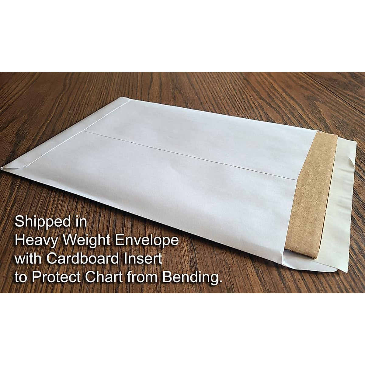 Laminated 4 String Bass Fretboard Notes Chart Nashville Number System & Circle of 5ths Easy Instructional Poster for Beginner for Notebook - A New Song Music 8.5 x 11