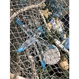 Kurt Adler Blue Starfish and Sand Dollar Shells Christmas Holiday Ornaments Set of 2