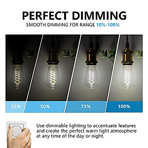 Dimmable LED Edison Bulbs,6W Equivalent to 60W Vintage Light Bulb, E26 5000K ST58/ST19 LED Bulbs, Antique Flexible Spiral LED Filament Light Bulbs, Clear Plastic Screw Lamp - 12Pack