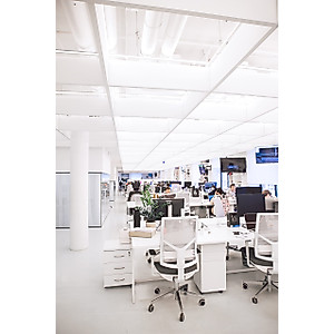 4ft 24W T5 High Output LED Tube Light, 45.75", F54T5 Equal, 5000K (Cool White), Frosted Lens, 3500 lm, G5 Mini Base, 100-277V, Ballast Bypass, Dual-End Powered, LED Shop Light, UL-Listed (24-Pack)