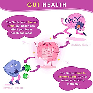 ZEBORA Probiotics for Women Digestive Health, Prebiotics and Probiotics with 60 Billion for Urinary Tract and Vaginal Health, Immune Support and Gut Health, Gluten & Soy Free, 90 Tablets