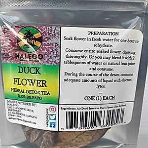 Nalego Duck Flowers Detox Tea | 1 Duck Flower | Wildcrafted Jamaican Alkaline Herbal Tea (Flor de Pato, Palo Guaco)