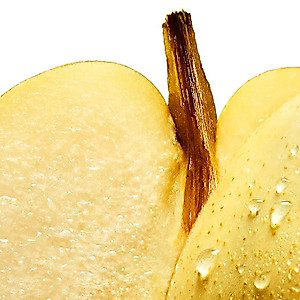 Zino Davidoff Cool Water Sea Rose EDT Spray for Women, 3.4 Ounce