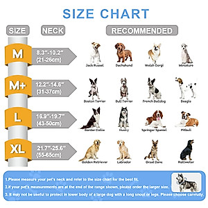 Inflatable Dog Cone, Soft Dog Cone Collar After Surgery for M L XL Dogs, with Detachable Anti Licking Shield and Inflator, 2 in 1 Adjustable Alternative, Does Not Block Vision, L