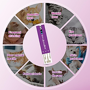 AssuTest® Blood Glucose Pet Health Monitoring Test Strips – Home Veterinary Care for Accurate Measurements – Manage Your Pet's Diabetes in an Affordable and Convenient Way - 25 Pcs/Box with 25 Lancets