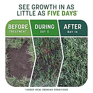 Pennington Smart Patch Sun and Shade Mix 10 lb