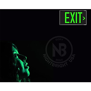 Photoluminescent Exit Sign Red - Framed Flat Wall Mount. UL 924 Code Approved/IBC/NFPA 101/Item: FRUL-050-R