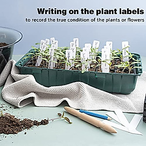 Plant Labels 300Pcs 4 Inch Plastic Plant Name Tags for Seedlings Garden Labels Markers Nursery Plant Tags Seed Labels Plant Label Stakes with Permanet Marking Pen Plant Markers for Outdoor Garden