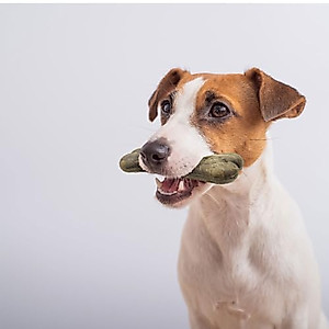 BONIES Natural Calming Multi-Pack MINI (20 Bones / 7 oz)