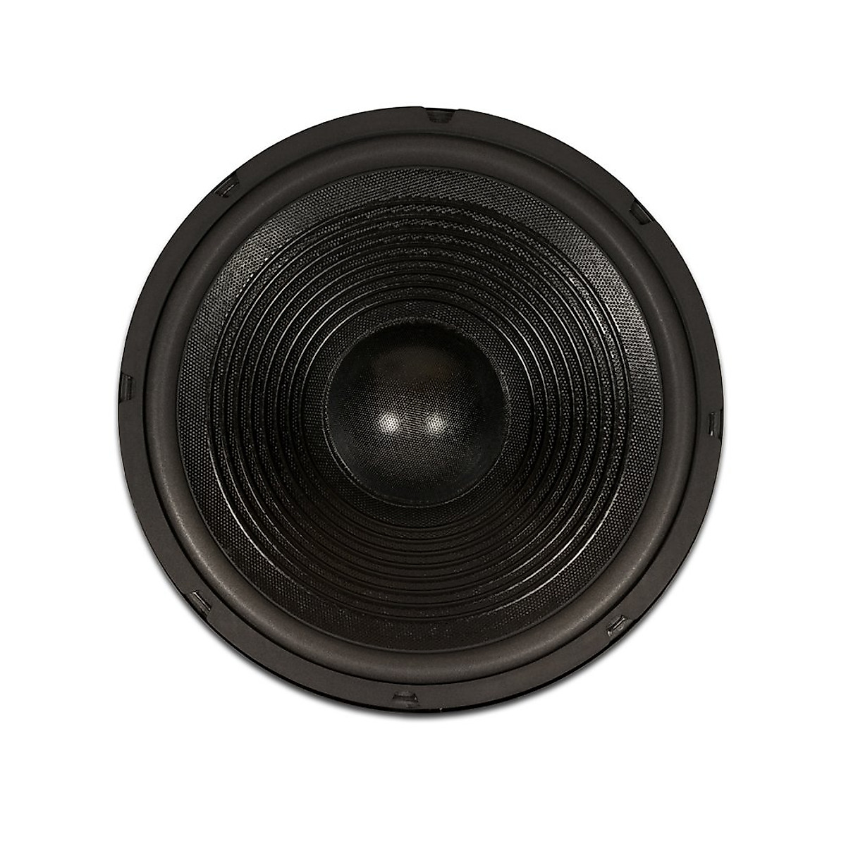 Goldwood Sound GW-212/4 OEM 12" Woofer 240 Watts 4ohm Replacement Speaker,Black