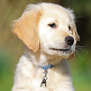 DORUI Dog Tag Clips 2 Pack Easy Change for Pet ID Tag Quick Clips Small Medium Large Dogs and Cats Collars|Silver|