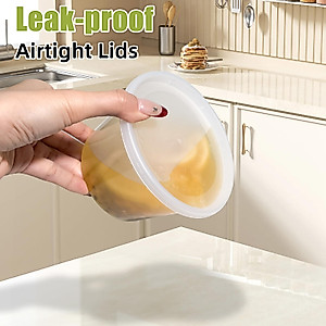 EASYTRIP 24 Pack plastic Food Storage Containers 32 oz，Deli Containers With airtight lid，Disposable Meal Prep Containers/BPA Free/Freezer Safe/Dishwasher Safe/Microwave Safe/Stackable