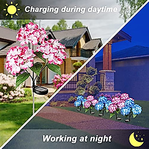 Solar Flower Lights-2 Pack Waterproof Solar Garden Flower Lights with Solar Hydrangea Stake, Solar Decorative Lights for Patio, Courtyard, Garden Lawn (Blue & Rose Red)
