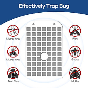 DFAGIE GS6 Fly Trap Indoor Refill Glue Cards, Replacement Glue Card 10 Pack