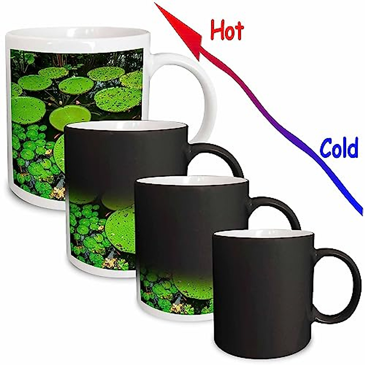 3dRose Lilly pads in Ginger Garden at Singapore Botanic Gardens, Singapore. - Mugs (mug-366353-3)