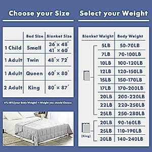 Weighted Blanket 15 Pounds for Adults 60"x 80" 15lbs Perfect for 150-170 lbs Queen Size Use on Queen Bed Soft Material with No Leaking Glass Beads (Light Gray)
