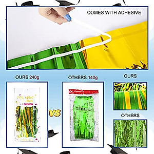 LOLStar 2 Pack Green and Gold Graduation Party Decoration 2023, 3.2x6.6 ft Foil Fringe Curtains, Tinsel Backdrop, Graduation Photo Booth Prop Streamer Backdrop for High School College University Party