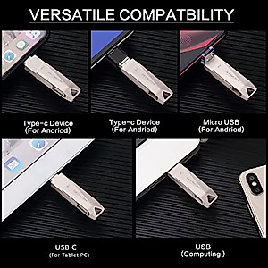 USB Flash Drive Memory Stick Android USB C Phone Photo Stick High Speed Data Storage Drive 1000GB USB 3.0 Thumb Drives WANSISEN for Android Phone Mac-Book Pad Pro Tablets and Computer (Grey, 1TB)