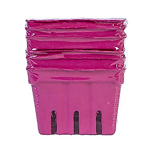 Darice Fuchsia Paper Berry Basket, Pink, 6 Piece