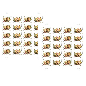 Celebration Corsage First Class Two Ounce Stamps Wedding Mother’s Day Proms 2 Sheets of 20 Bundle with Northarvest Office Clip