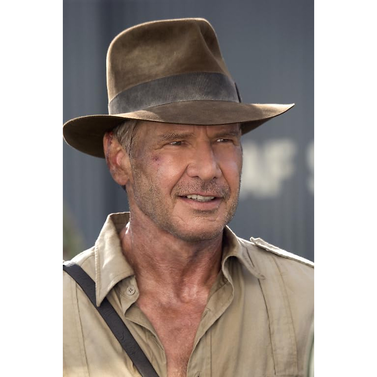 Indiana Jones and the Kingdom of the Crystal Skull