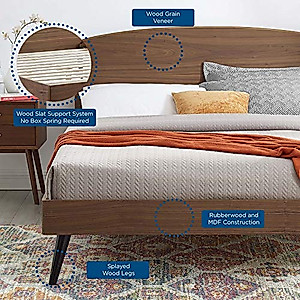 Modway Bronwen Full Wood Platform Bed in Walnut