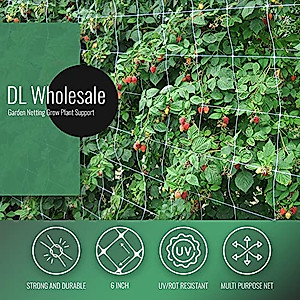 DL Wholesale VineLine Trellis Netting Garden Plant Plastic Trellis Net Roll for Climbing Plants Grow Support Fruits Vegetables, White, 5 ft x 30'