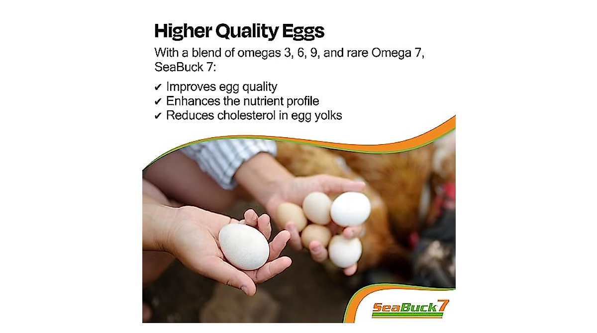 SeaBuck 7 Chicken Supplement: Boost Egg Production & Quality